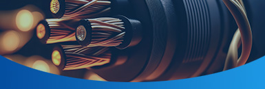 Black Friday Promotion! | Nedco